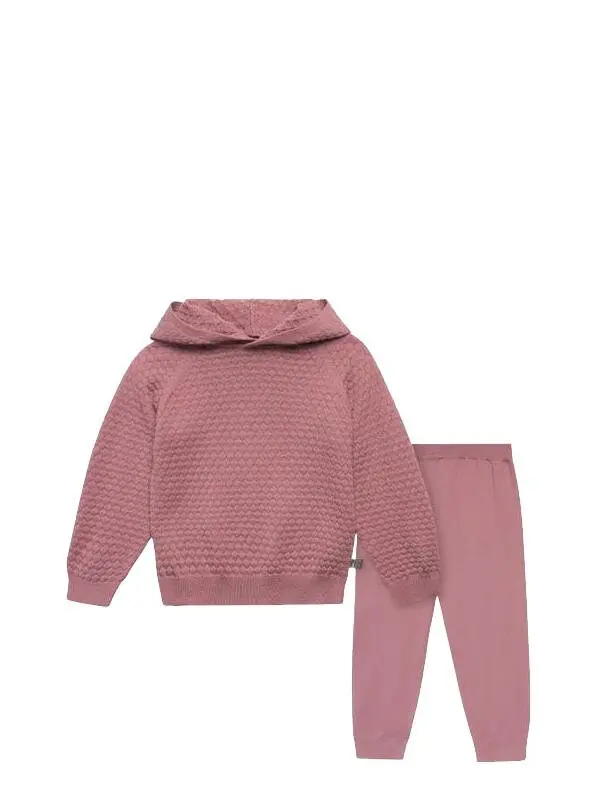 MODERN MOMENTS™ BY GERBER Sweater Knit Hoodie And Pant Set - Rose