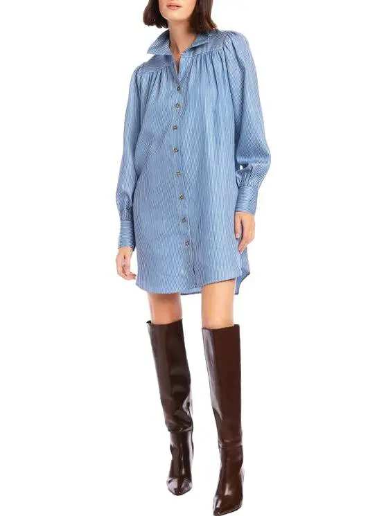 Fifteen Twenty Natalia Stripe Long Sleeve Shirtdress - Blue Stripe