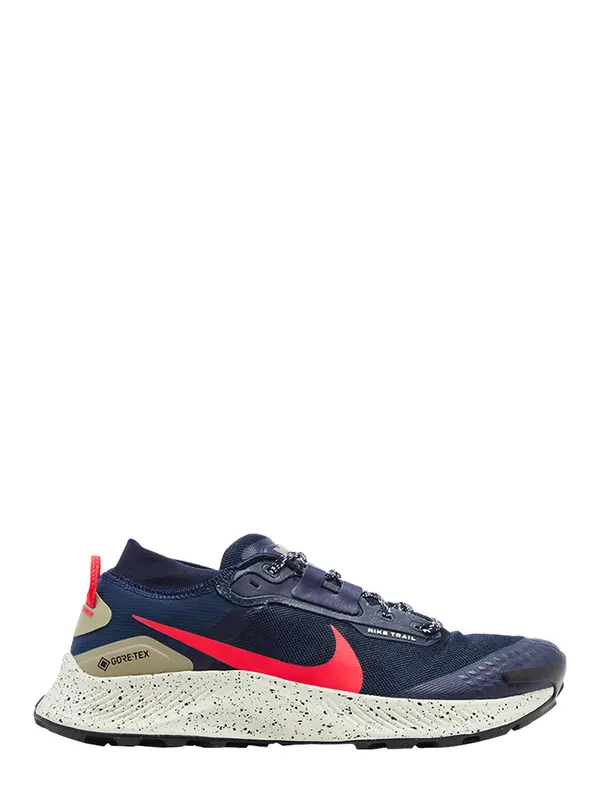 Nike Pegasus Trail 3 Gore-tex - Blue