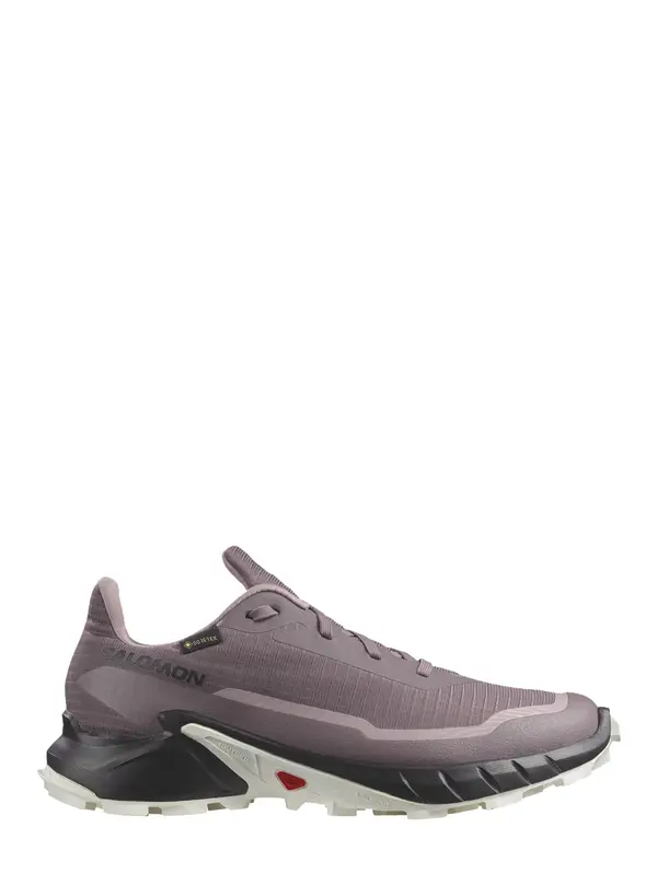SALOMON Alphacross Gore-tex - Purple