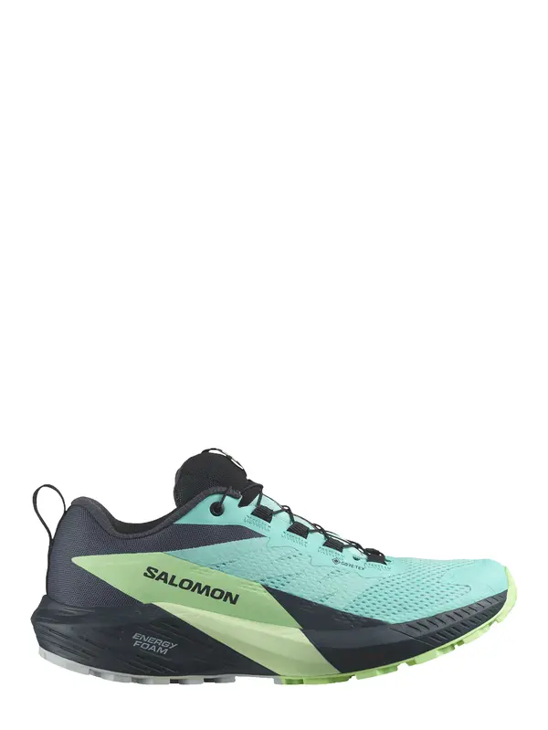 SALOMON Sense Ride Gore-tex Sneakers - Blue