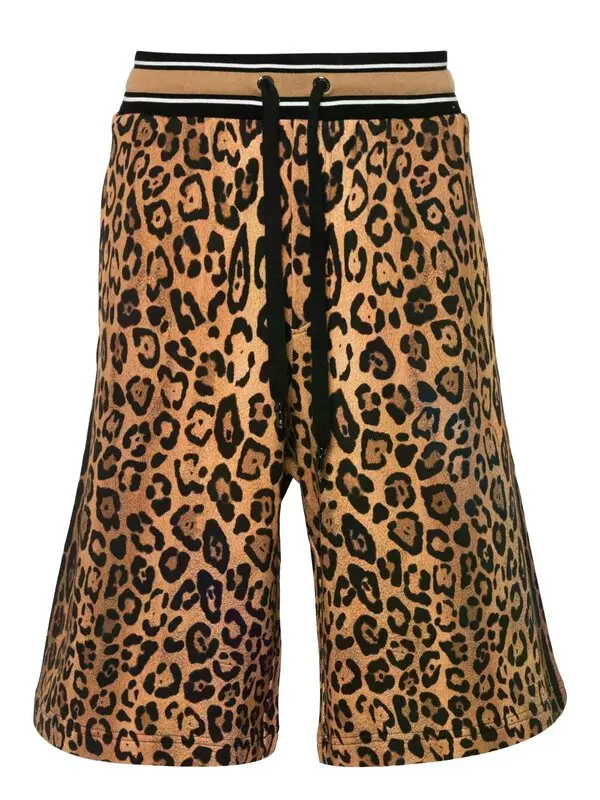 Dolce & Gabbana Cheetah-print Track Shorts - Brown