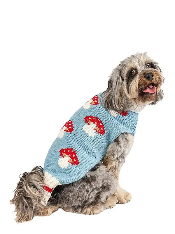 CHILLY DOG Mushroom Dog Sweater - Cerulean Blue