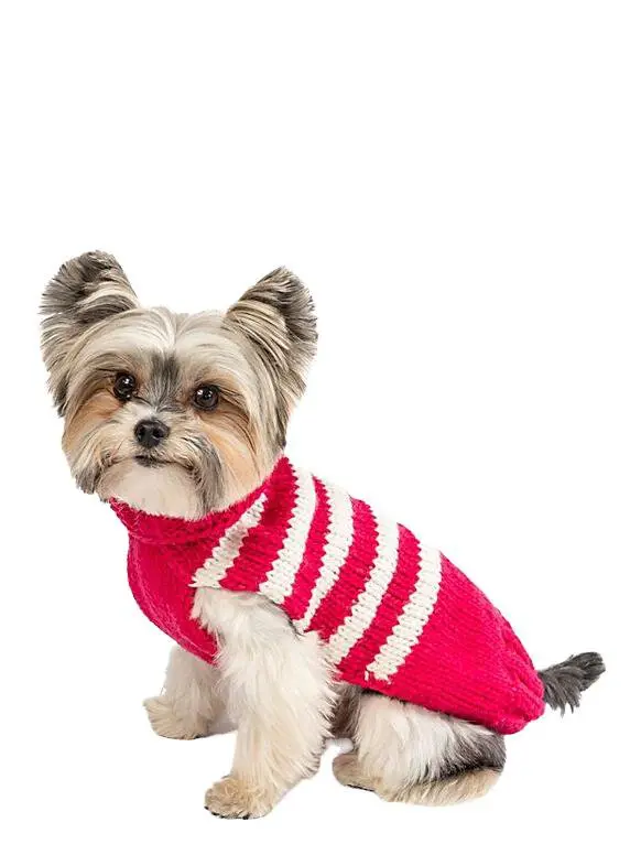 CHILLY DOG Striped Dog Sweater - White