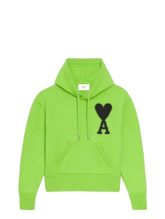 Ami De Coeur Merino Wool Knit Hoodie - Green/black