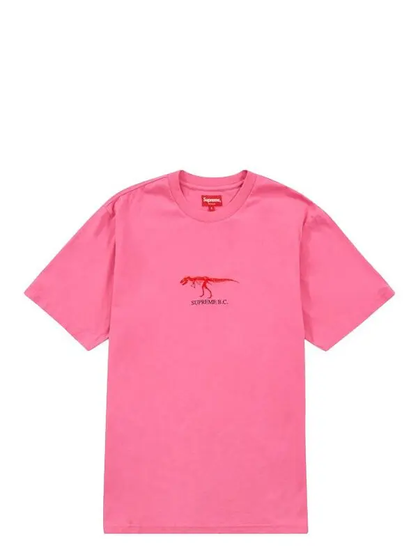 Supreme B.c. Short Sleeve Top - Bright Pink