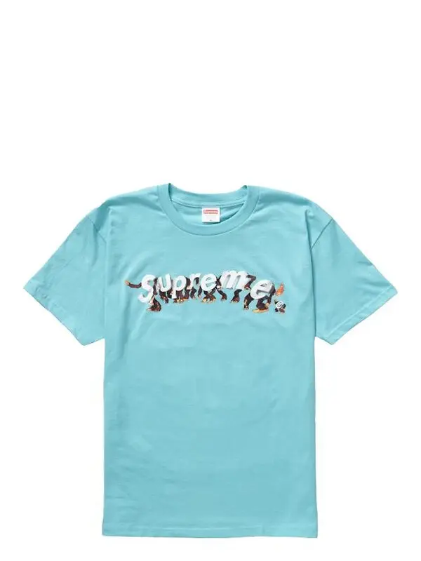 Supreme Apes Tee Shirt - Light Teal