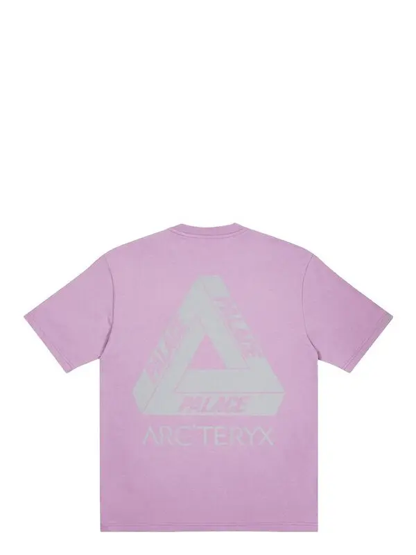 PALACE Arc'teryx T-shirt - Haze