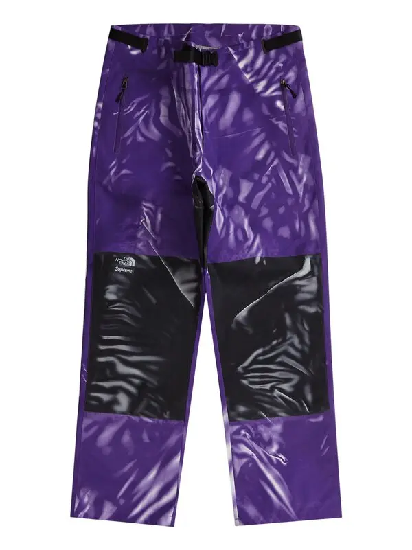 Supreme The North Face Printed Mountain Pant - Purple