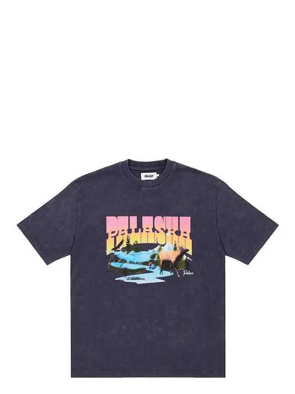 PALACE Palaska Dye T-shirt - Purple