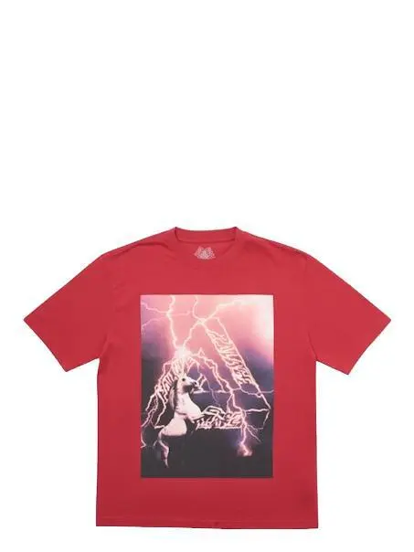 PALACE Corn T-shirt - Dark Red