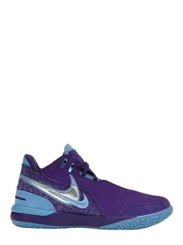 Nike Zoom Lebron Nxxt Gen Ampd Sneakers - Field Purple/metallic Silver/university Blue