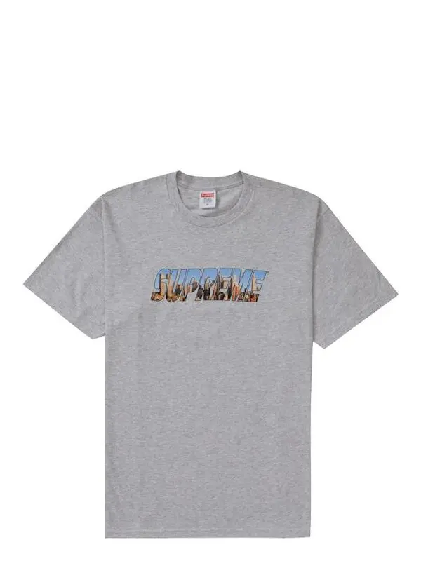 Supreme Gotham Tee Shirt - Ash Grey