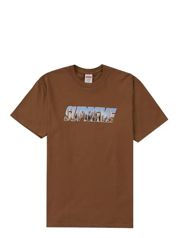 Supreme Gotham Tee Shirt - Light Brown