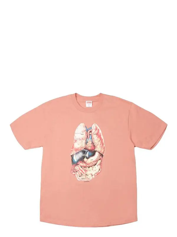 Supreme Guts Tee Shirt - Terra Cotta