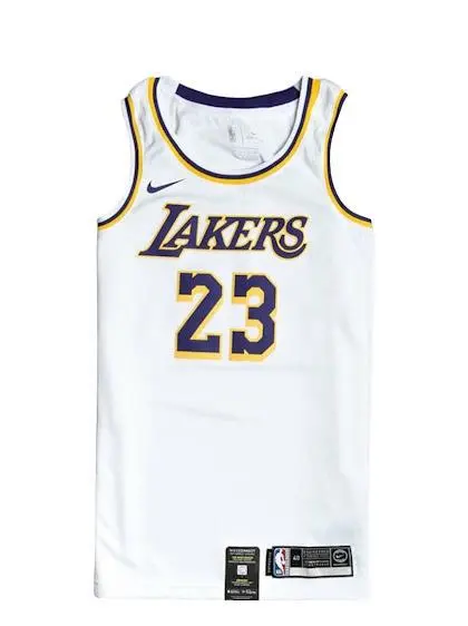 Nike Nba Los Angeles Lakers Lebron James Association Edition Swingman Jersey - White