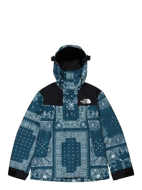 The North Face Novelty Gtx Paisley Mountain Jacket - Peacock Blue