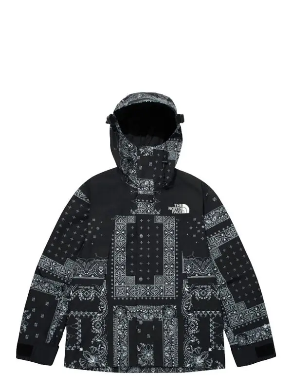 The North Face Novelty Gtx Paisley Mountain Jacket - Black