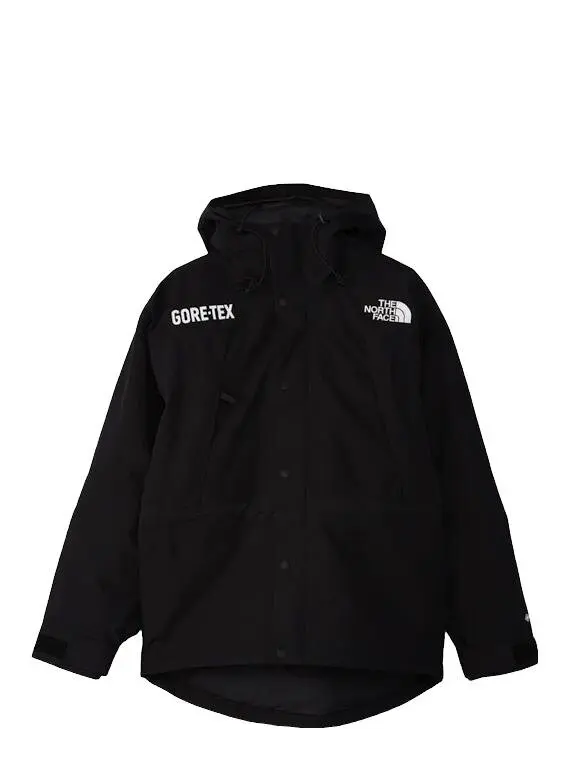 The North Face Gtx Mountain Guide Insulated Parka - Black
