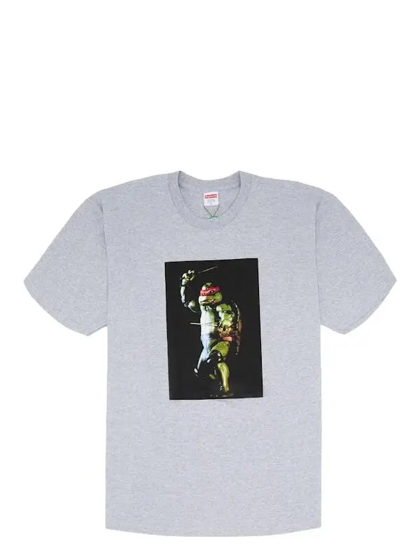 Supreme Raphael Tee Shirt - Heather Grey
