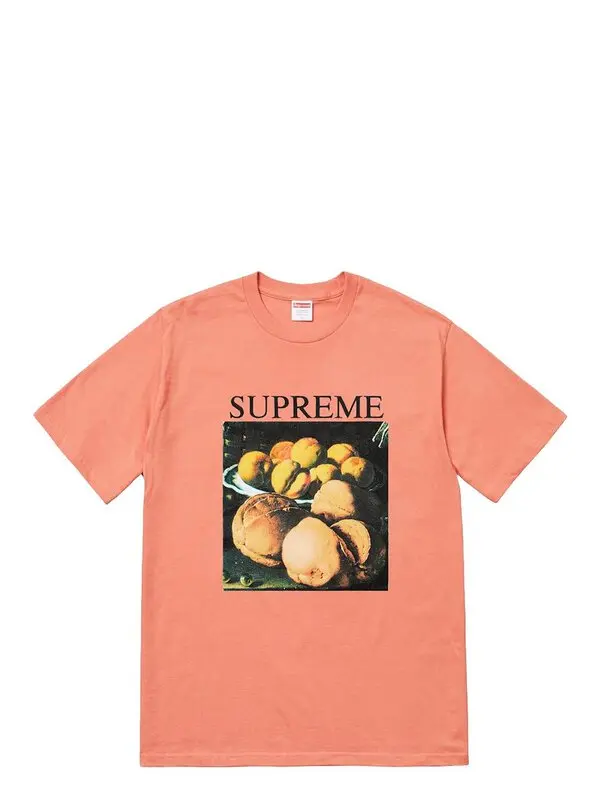 Supreme Still Life Tee Shirt - Terra Cotta