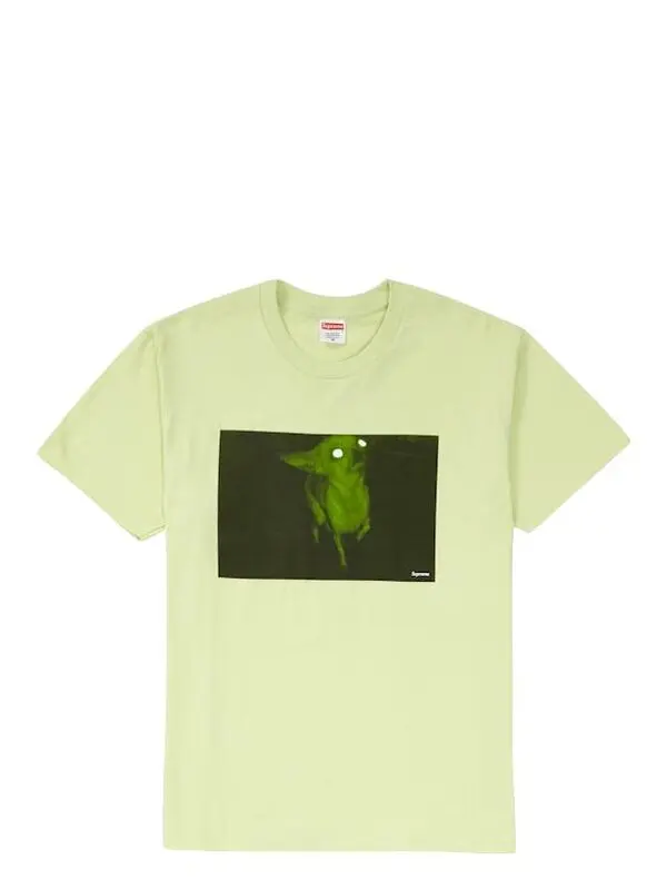 Supreme Chris Cunningham Chihuahua Tee Shirt - Pale Mint