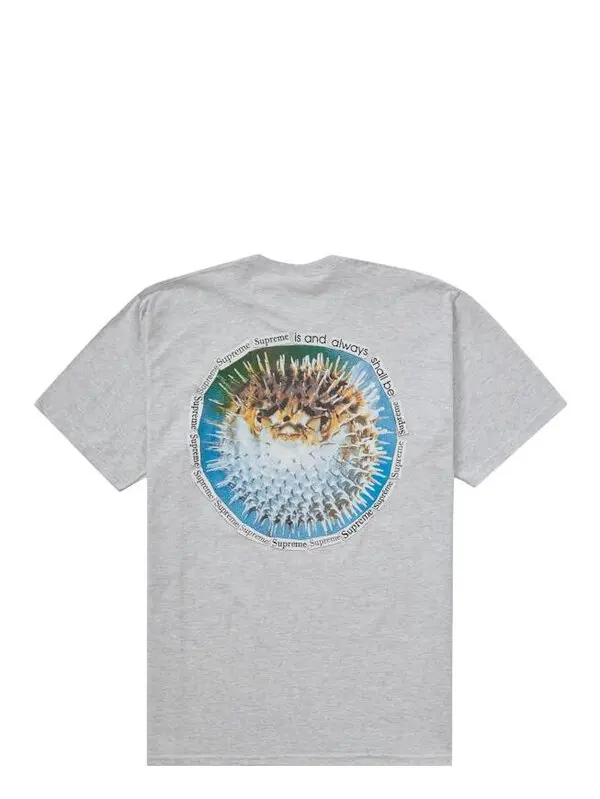 Supreme Blowfish Tee Shirt - Ash Grey