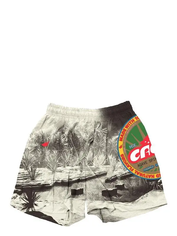 TRAVIS SCOTT Cacti Oasis Outdoor Shorts - Multicolor