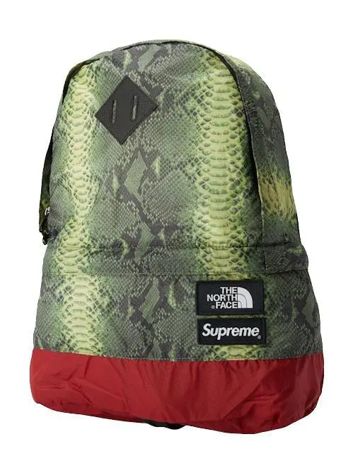 Supreme The North Face Snakeskin Lightweight Day Pack - Green