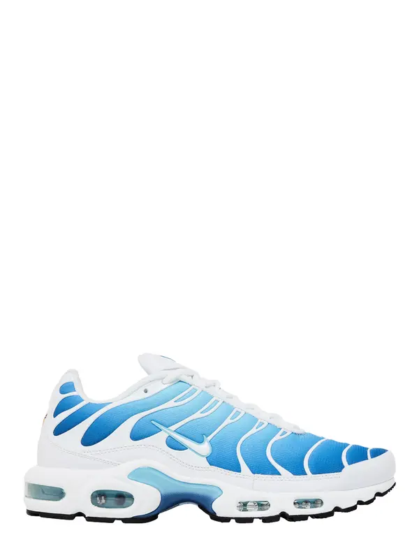 Nike Air Max Plus Sneakers - Blue
