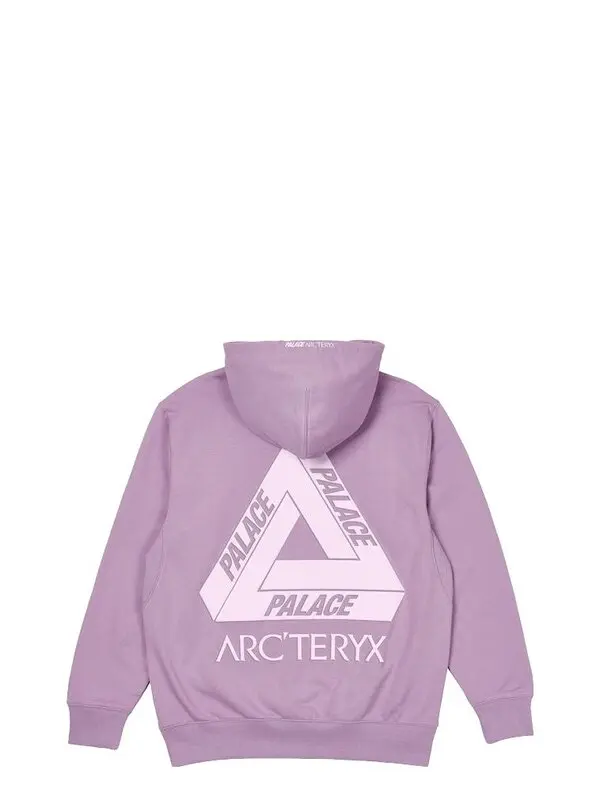 PALACE Arc'teryx Hood - Haze