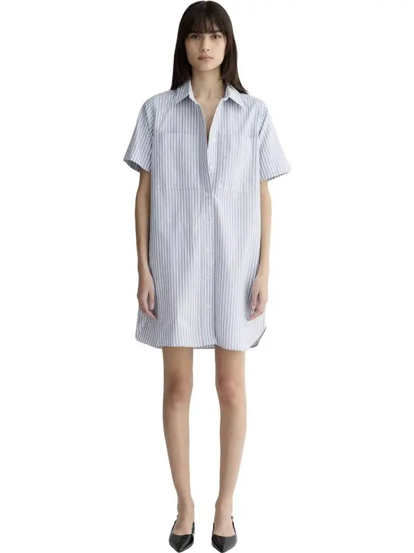 Everlane Oxford Shirt Dress - Bone/mazarine Blue