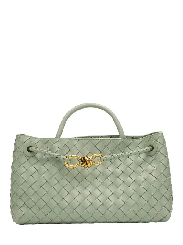 Bottega Veneta Small East-west Andiamo Bag - New Sauge