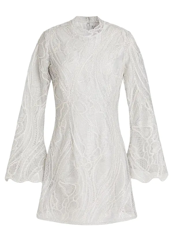 Simkhai Joy Embroidered Tulle Mini Dress - Silver