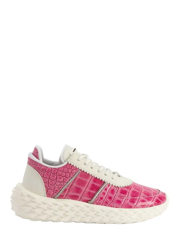 GIUSEPPE ZANOTTI Urchin Sneakers - Pink