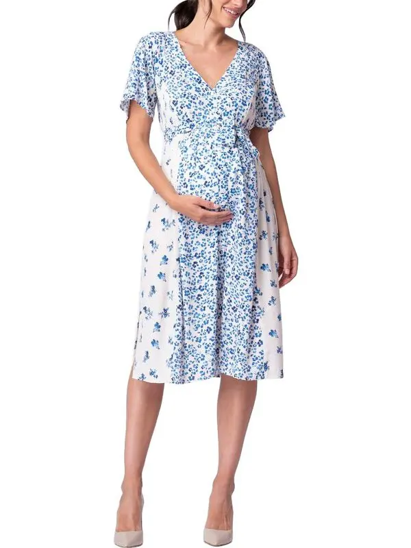 Seraphine Floral Maternity/nursing Dress - Blue Floral