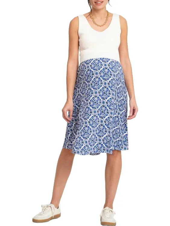 Seraphine Sleeveless Maternity Nursing Dress - Blue/white