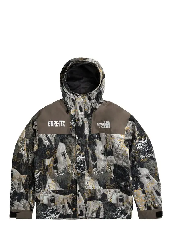 The North Face Gtx Mountain Jacket - Multicolor
