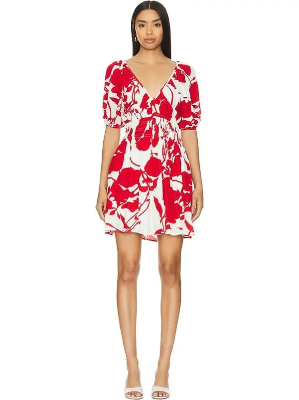 Faithfull The Brand X Salone Mini Dress - Red Floral