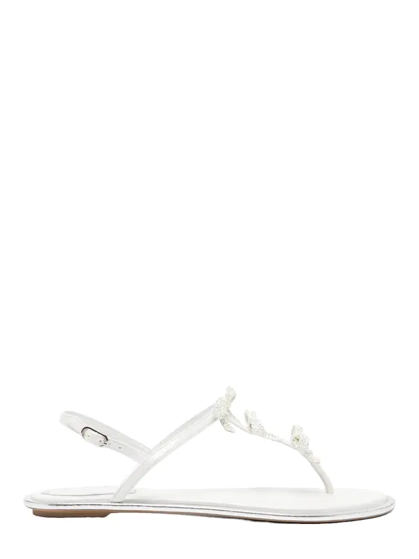 Rene Caovilla Caterina Thong Sandals - White