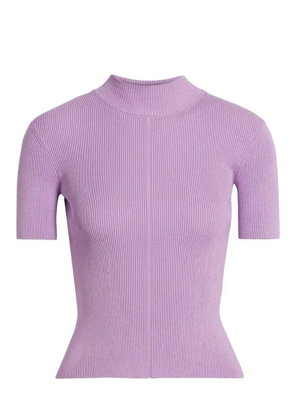 Oscar De La Renta Ribbed Silk-blend Turtleneck Top - Lavender