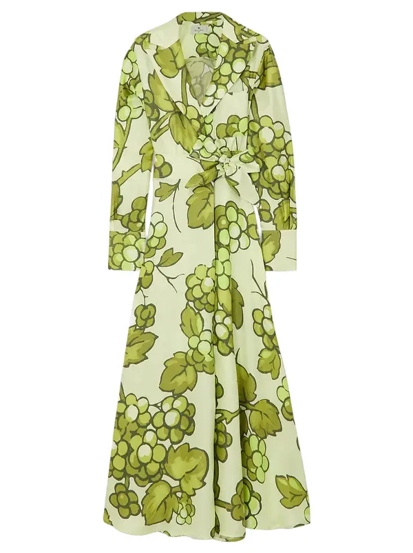 Etro Belted Printed Silk-twill Maxi Wrap Dress - Light Green