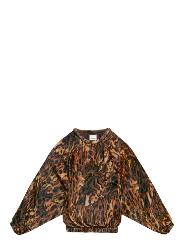 Isabel Marant Dabia Leopard-print Blouse - Brown