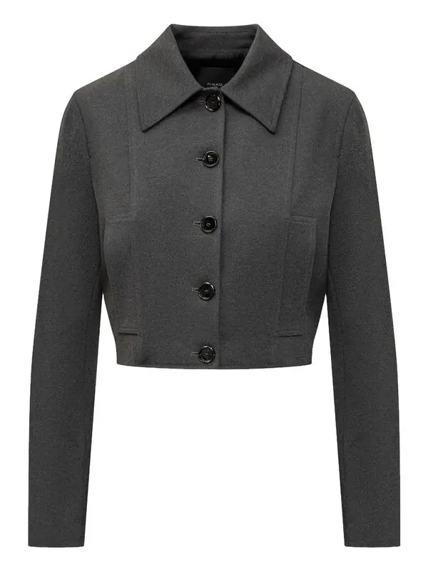 Pinko Doccia Single-breasted Jacket - Grey