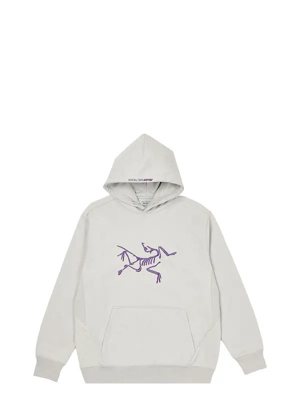 PALACE X Arc'teryx Hood - Grey
