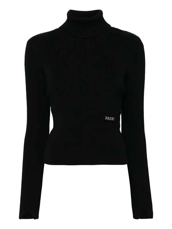 Patou Ribbed Roll-neck Sweater - Black