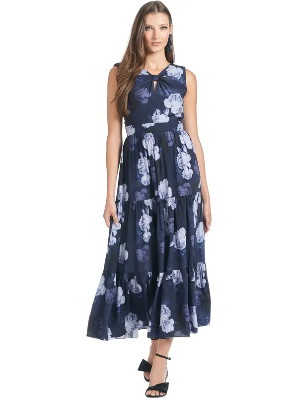 Sachin & Babi Anaisha Printed Midi Dress - Midnight Glacial Rose