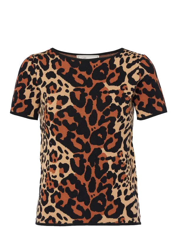 Blumarine Leopard-print Top - Brown