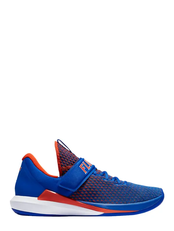 JORDAN Trainer 3 'florida Gators - Blue