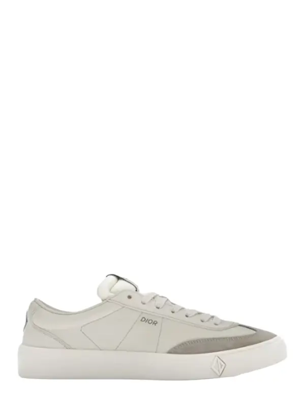 Dior B101 Leather Sneakers - Gray